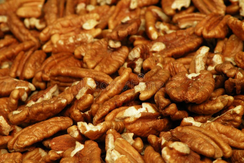 Pecan nuts stock photo. Image of shopping, christmas, pecan - 7996966