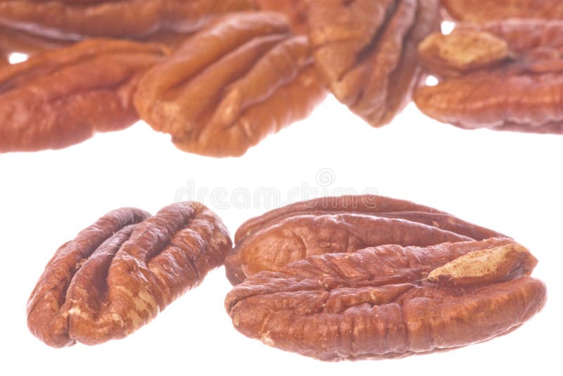 Pecan Nuts Isolated stock photo. Image of nuts, fresh - 9984530