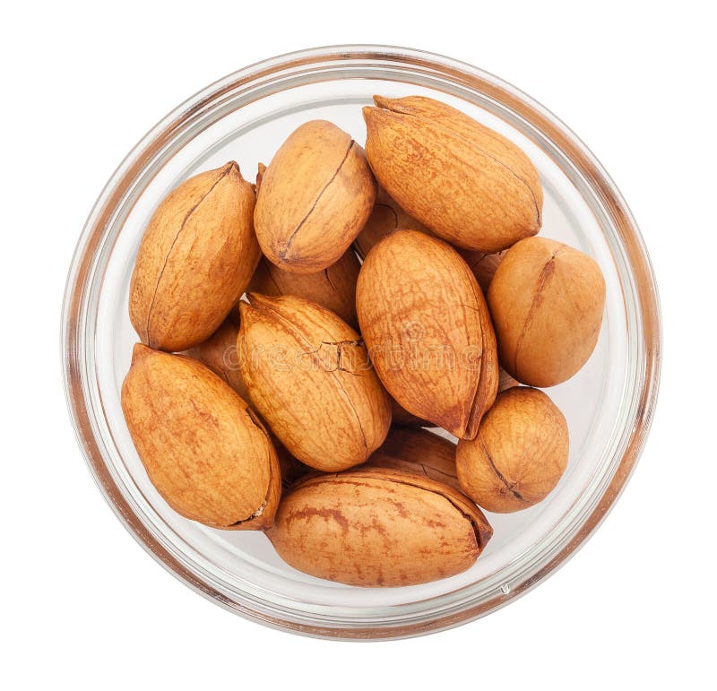 Pecan nuts path isolated stock image. Image of stack - 273375199