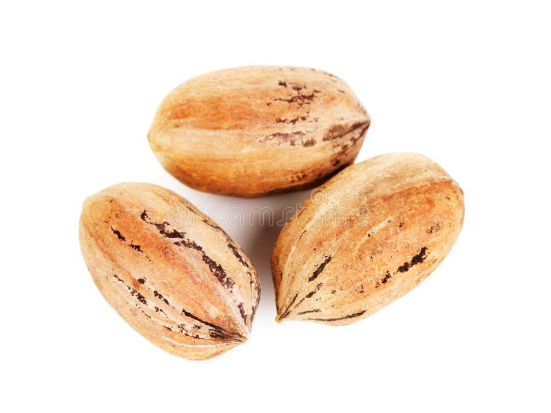 Pecan in hard shell stock image. Image of edible, antioxidant - 32391211