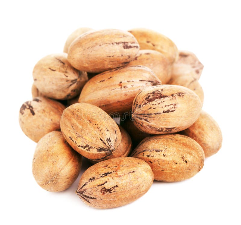 Pecan Nuts in a Shell stock photo. Image of hard, healthy - 76859256