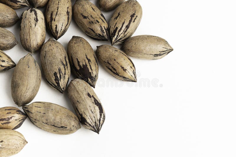 Pecan Nuts in Shell on White Background Stock Photo - Image of carya ...