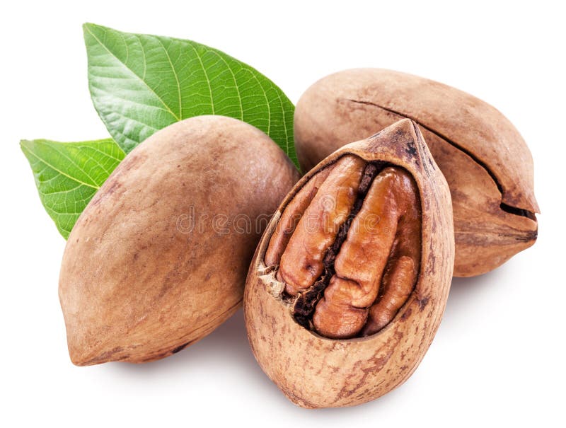 Pecan Nuts on a White Background. Stock Photo - Image of food, isolated ...