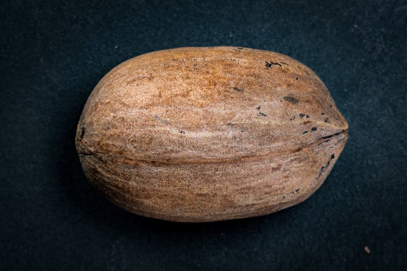 Pecan Shell on Dark Background Stock Image - Image of black, snack ...