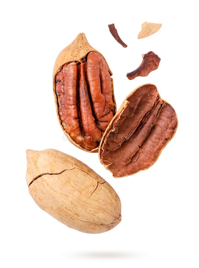 Pecan Whole and Pieces Drops on a White Background, Cut. Isolated Stock ...