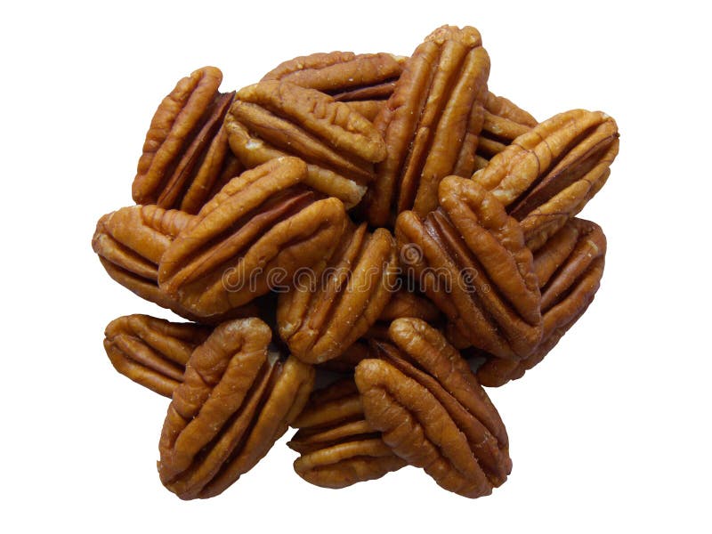Pecans stock photo. Image of detail, brown, close, salt - 3568358