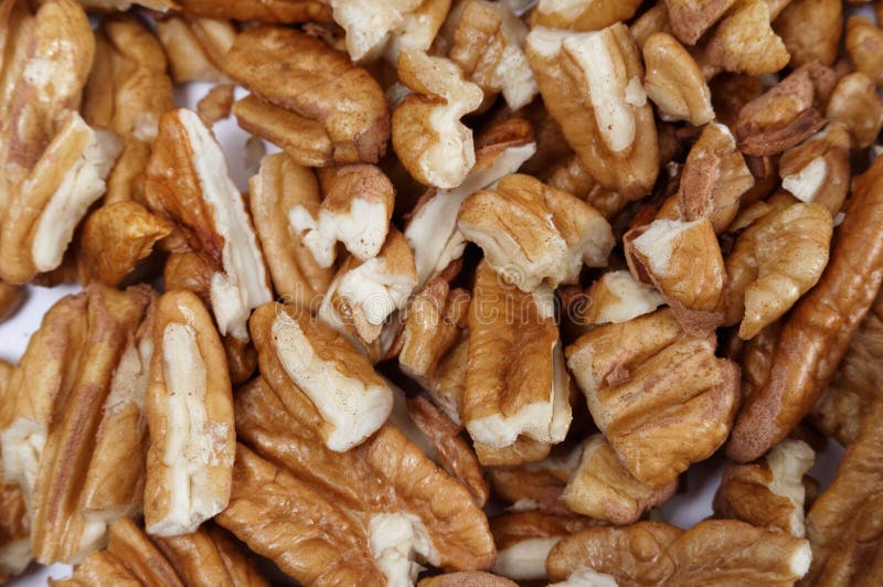 Pecans stock image. Image of snack, treat, close, closeup - 7463725
