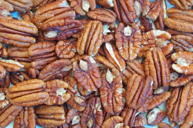 Pecans stock image. Image of pecan, walnut, pecans, food - 91927507