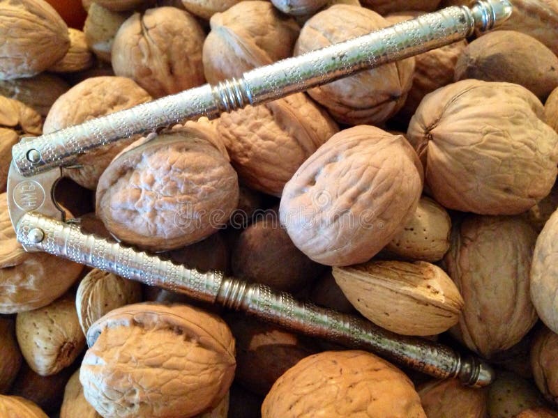 Pecans stock photo. Image of pretty, nuts, holiday, nutcracker - 47451582