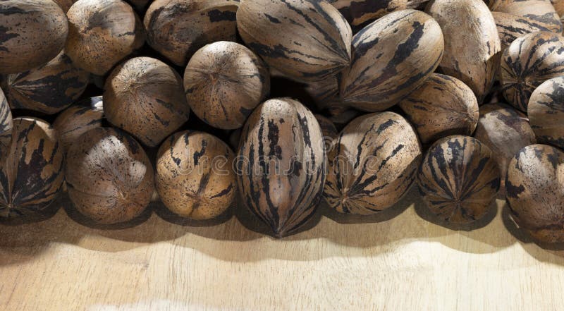 Pecans in Their Shell on a Table Stock Photo - Image of nature ...