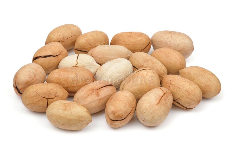 Pecans Unpeeled Kernels Isolated on White Background Stock Image ...
