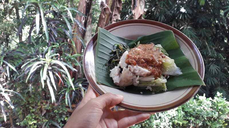 Pecel or Javanese Salad on Plate Stock Photo - Image of flower, meal ...