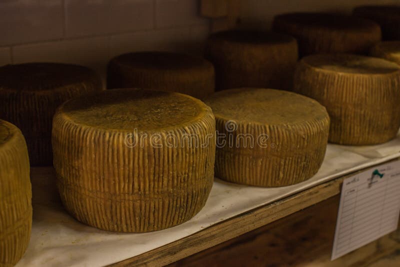Pecorino Caciocavallo Ricotta E Scamorza Cheese Storage Stock Photo ...