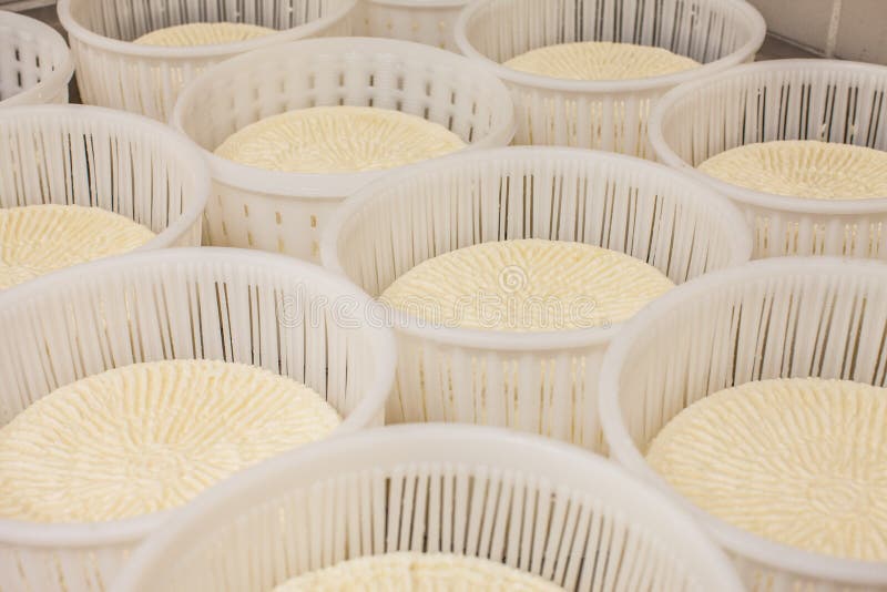 Pecorino Caciocavallo Ricotta E Scamorza Cheese Storage Stock Photo ...