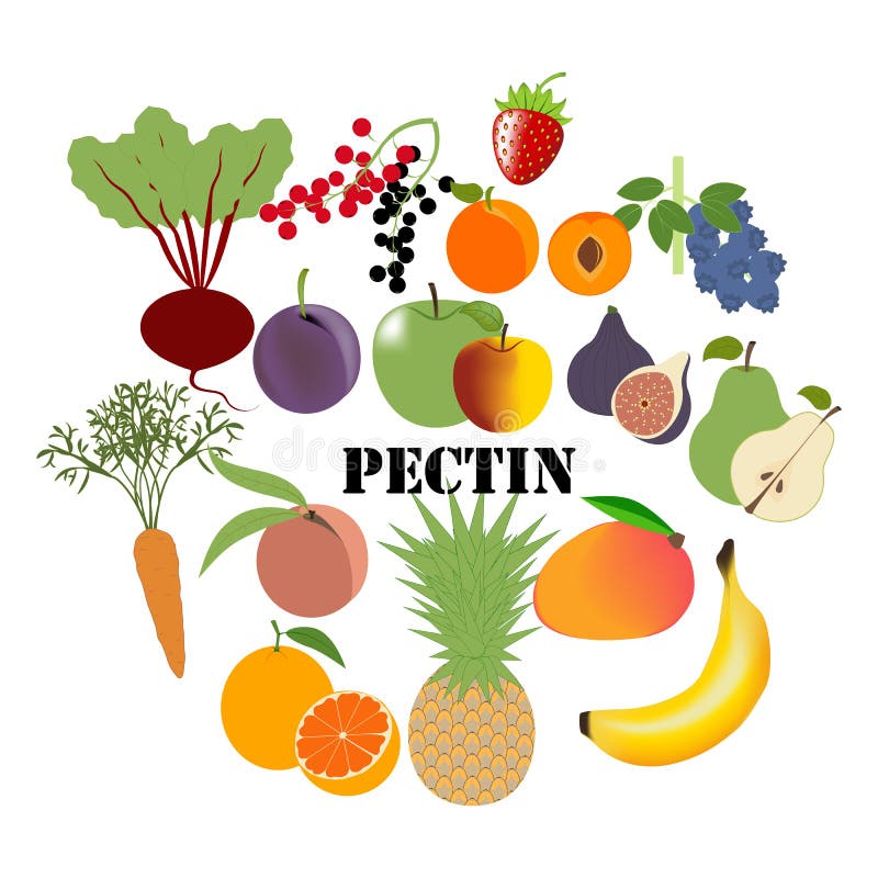 Plum Fruit Icon stock vector. Illustration of tree, leaf - 83271997