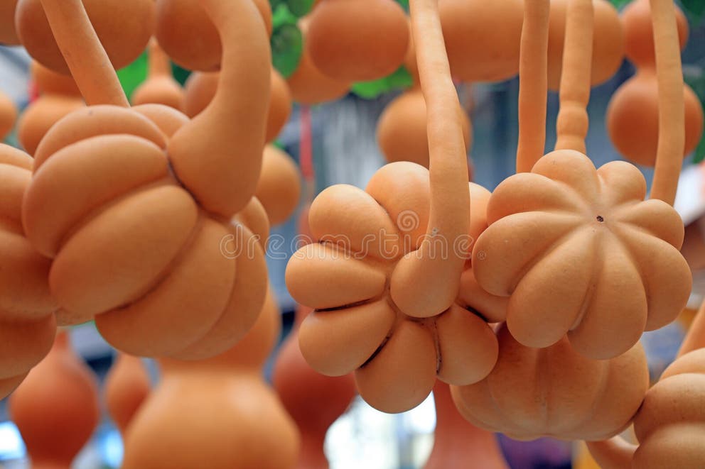 Peculiar shape gourd stock image. Image of closeup, sales - 365258675