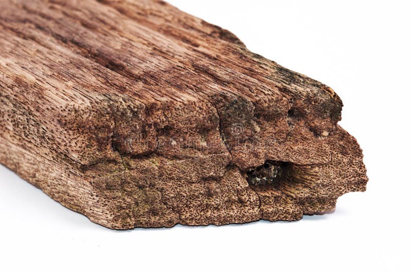 Pedazo De Madera Vieja Aislado En Blanco Foto de archivo - Imagen de ...