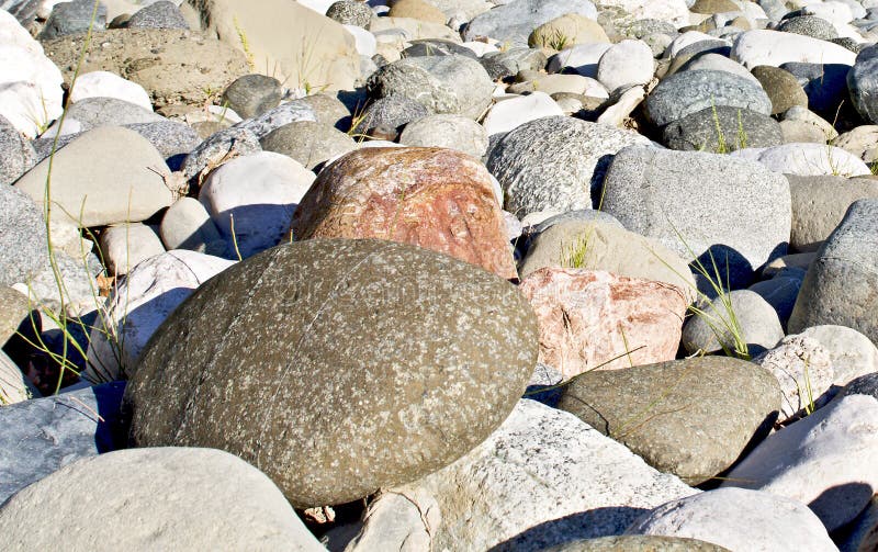 Peddles Detail Formbackground Stock Image - Image of decorative, round ...