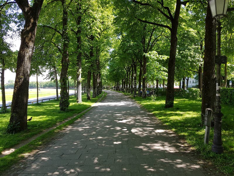 Pedestrian alley stock image. Image of trees, shadows - 92890855