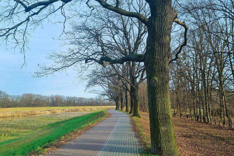 Pedestrian and Bicycle Path Along the River and Trees. Stock Image ...