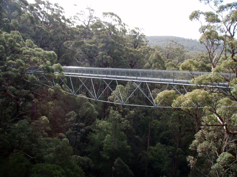 Pedestrian Bridge Build for Crossing Natural Obstacles Stock Image ...