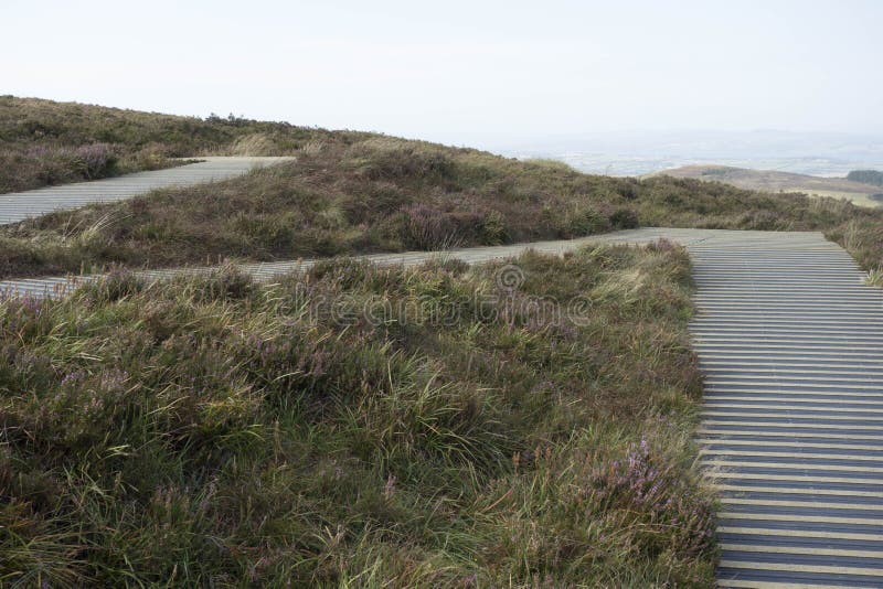 A Pedestrian Bridge or Footbridge Stock Photo - Image of network ...