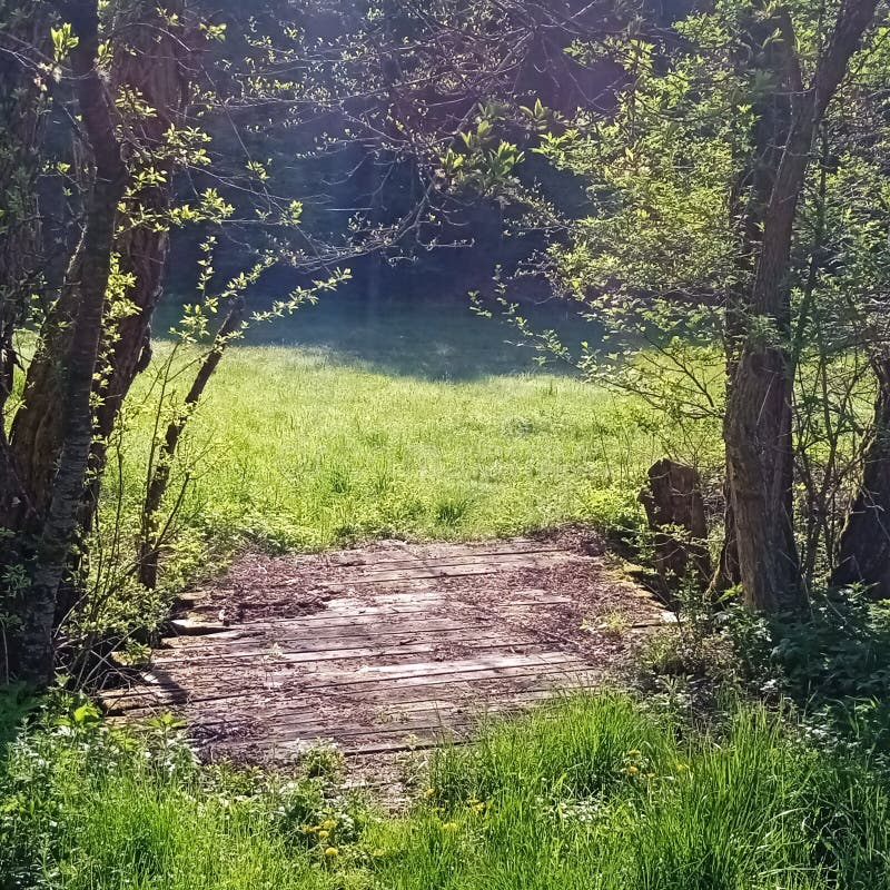 A Pedestrian Bridge or Footbridge Stock Photo - Image of bridle ...