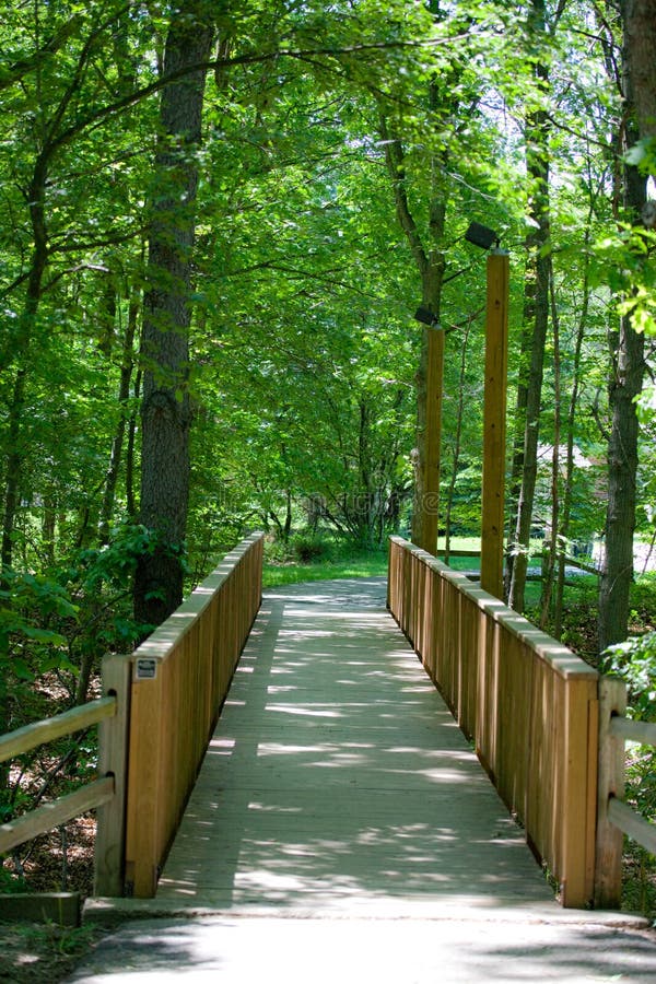 Pedestrian Bridge in Forest Stock Photo - Image of summer, railing ...
