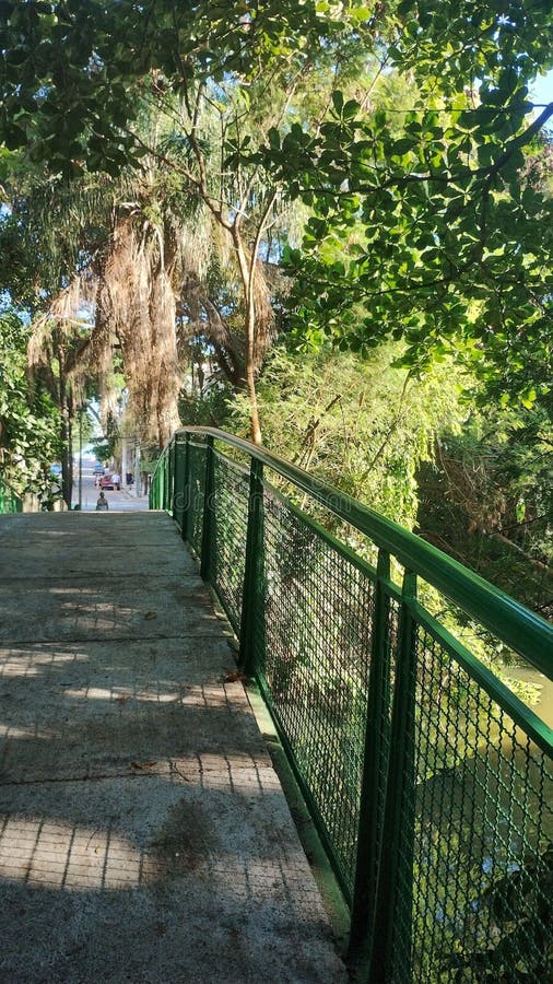 Pedestrian Bridge with Green Railing in a Park Stock Image - Image of ...
