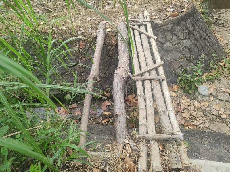 The Pedestrian Bridge Leads To the Rice Fields Stock Photo - Image of ...