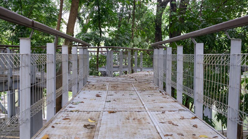 A Pedestrian Bridge in the Middle of the Trees in the UGM Wisdom Park ...