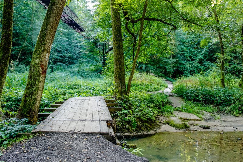 Pedestrian Bridge Over the Creek in the Ravine Stock Image - Image of ...