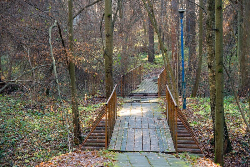 Bridge Over Ravine Stock Images - Download 751 Royalty Free Photos