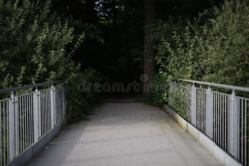 Pedestrian Bridge between Trees in a Park Stock Image - Image of trail ...