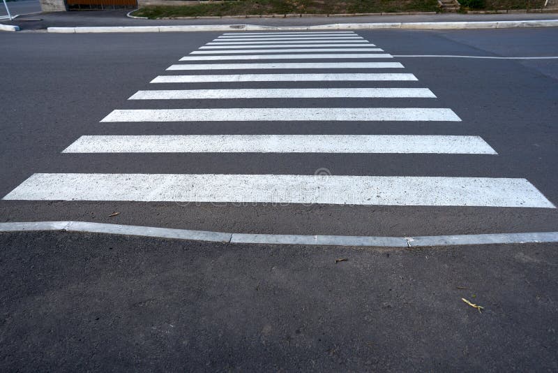 Pedestrian Crossing on an Empty Road without Cars Stock Image - Image ...
