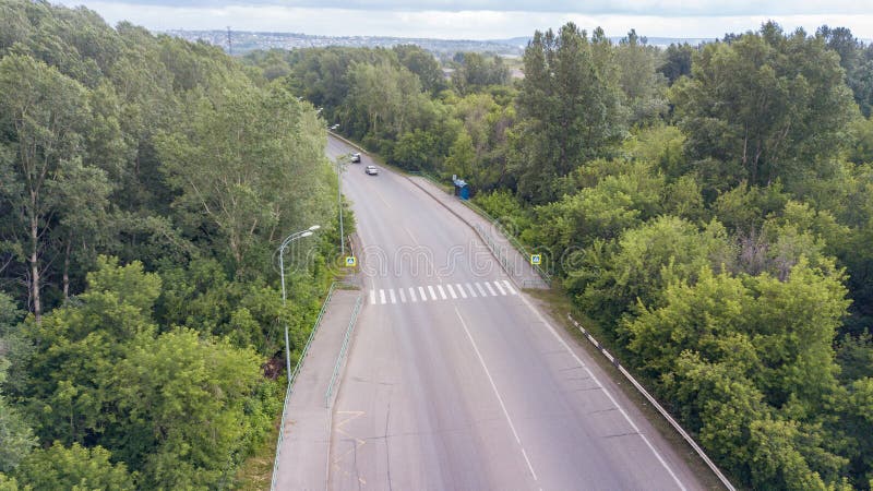 Pedestrian Crossing on the Highway among Green Trees Stock Photo ...
