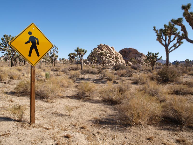Pedestrian Crossing Joshua Trees Stock Photo - Image of pedestrian ...