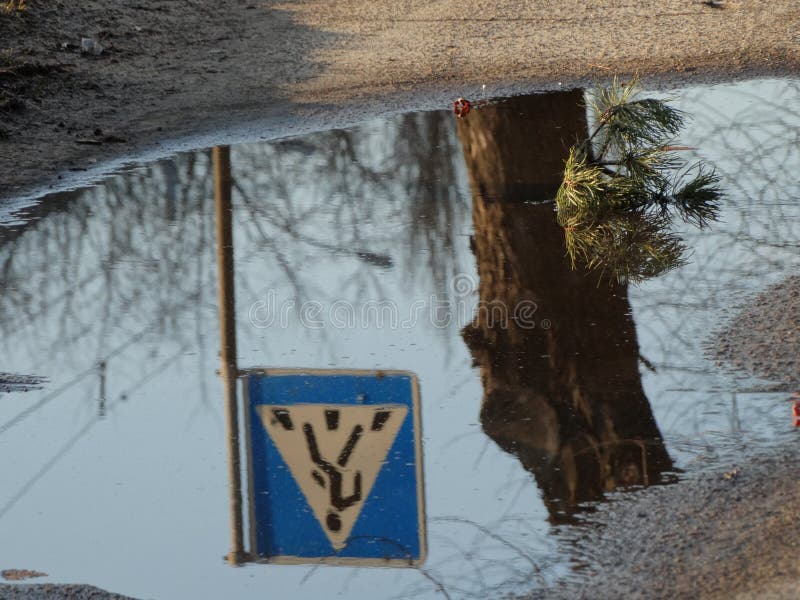 A Pedestrian Crossing Sign Reflected in a Puddle Stock Photo - Image of ...