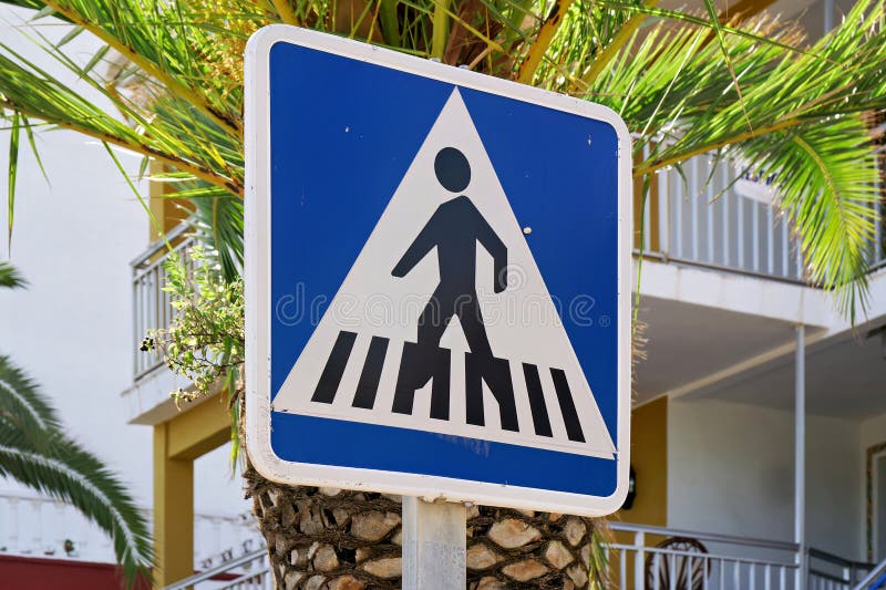 Pedestrian Crossing Sign Under a Palm Tree Stock Photo - Image of ...
