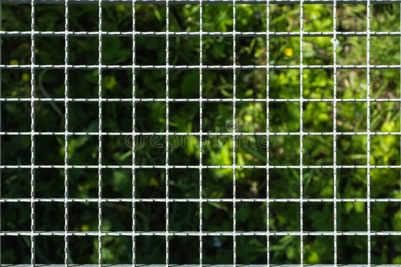 Pedestrian Grid Bridge Above Green Grass Stock Photo - Image of detail ...