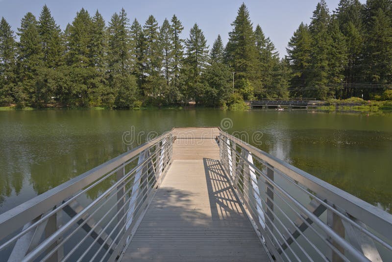 Pedestrian Ladder and Platform on a Lake. Stock Image - Image of metal ...