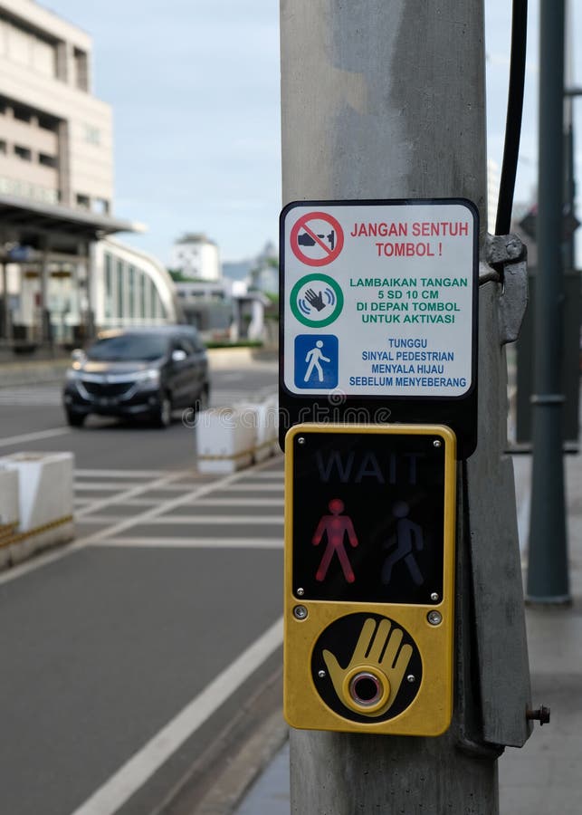 A Pedestrian Light Switch with Voice Guidance and Comprehensive ...