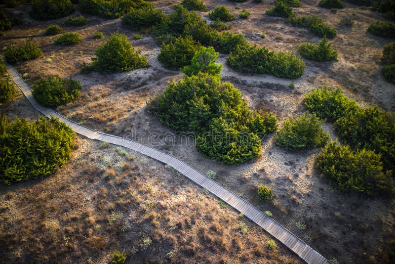 Pedestrian Path for Handicapped People Stock Photo - Image of ...