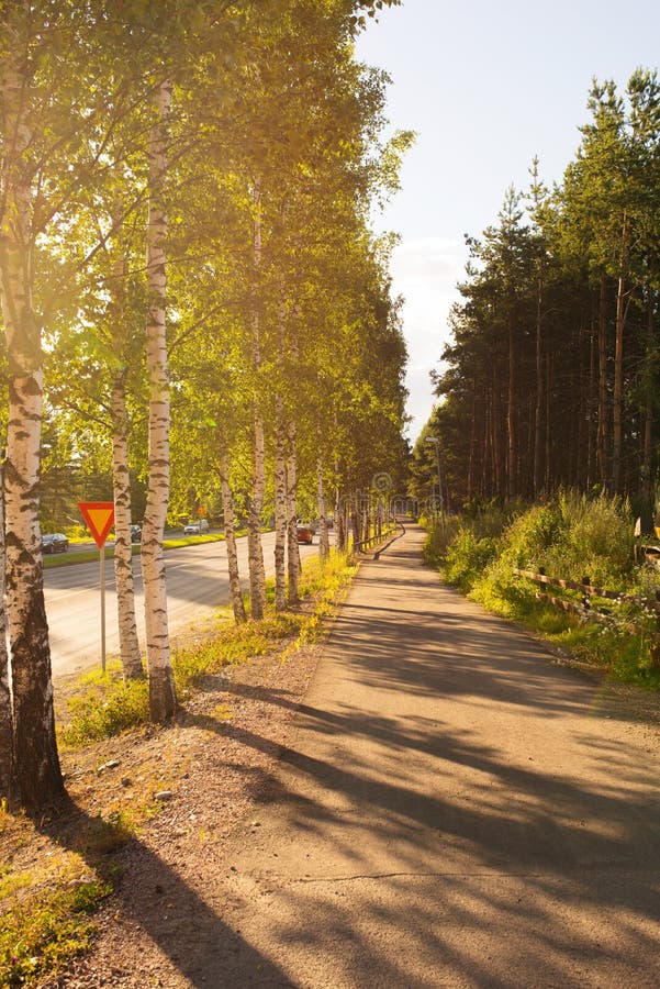 Pedestrian Path or Lane in the Sunset. Stock Image - Image of spruces ...