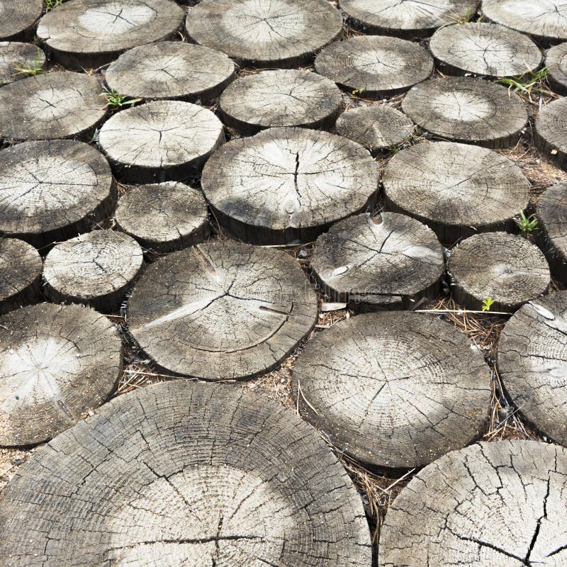 A Pedestrian Path Made of Logs Stock Photo - Image of bridge, suburb ...