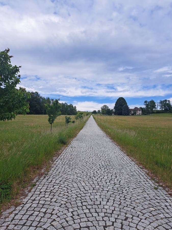 A Pedestrian Path in a Park Covered with Snow Stock Image - Image of ...