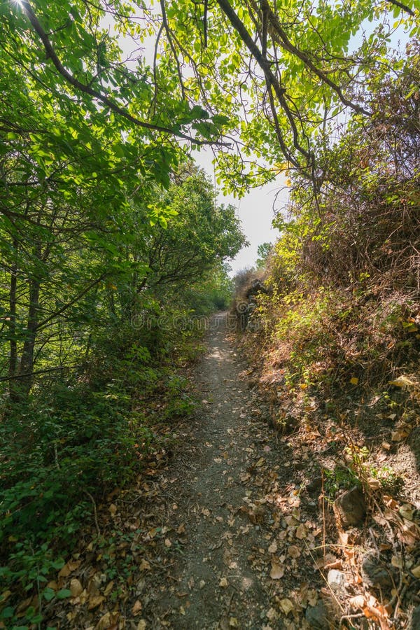 Pedestrian Path on the Side of a Sierra Nevada Mountain Stock Photo ...