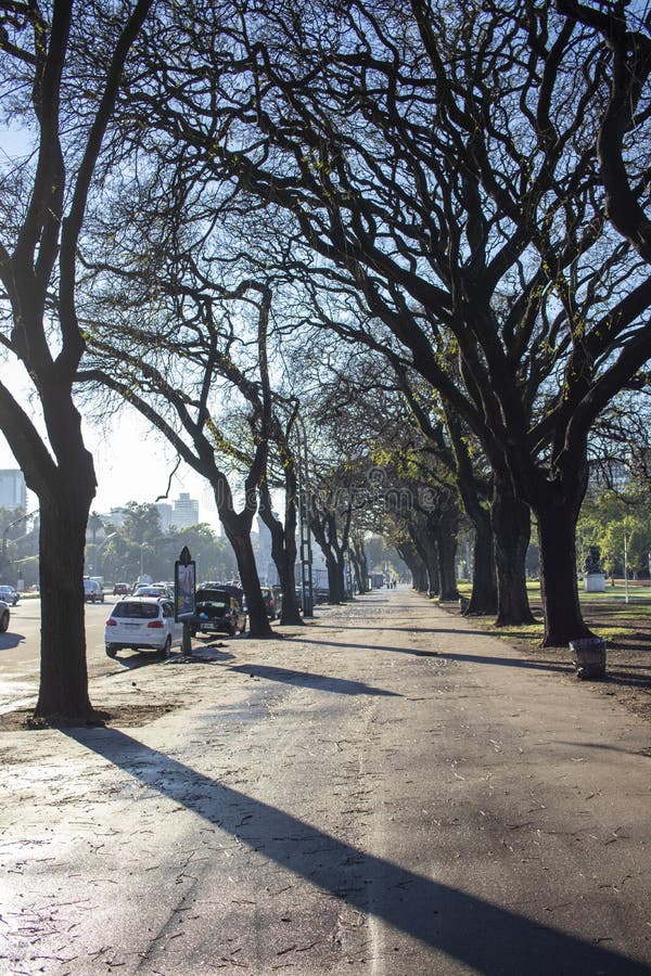 Pedestrian Path between Trees Along the Street Stock Photo - Image of ...