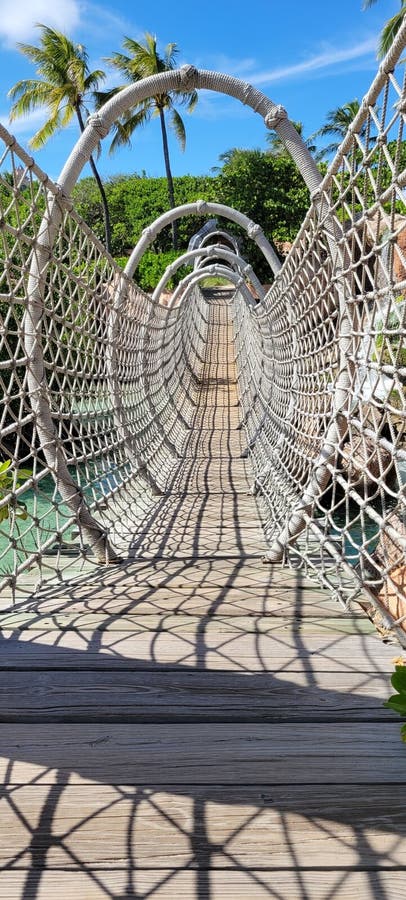 Stacie Moore (Samtx1101) - Photographer profile