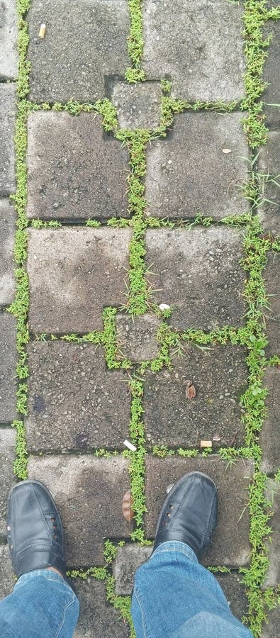 Pedestrian side walk stock image. Image of green, pedestrian - 315878447